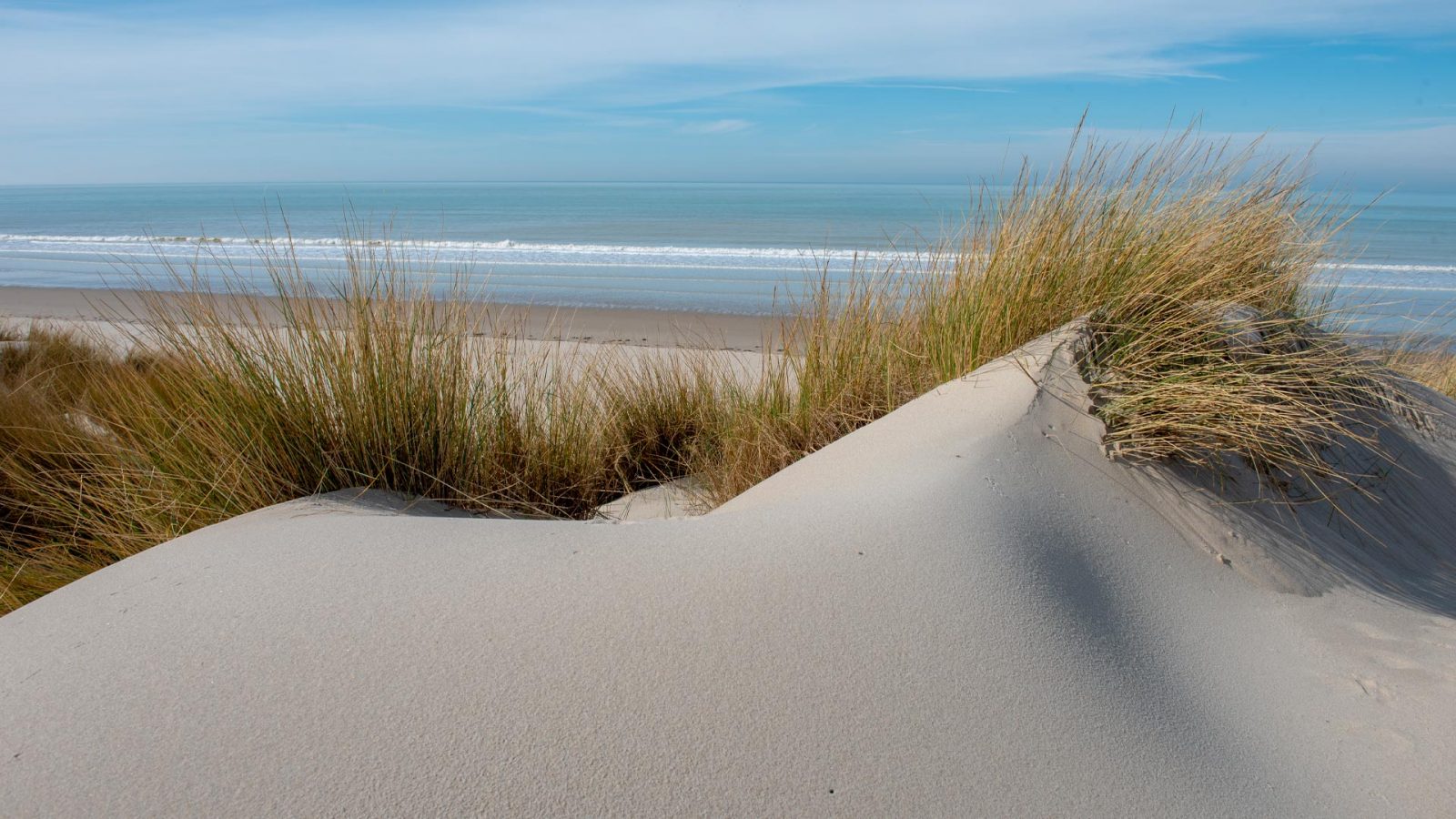 Berck-sur-mer - Côte d'Opale